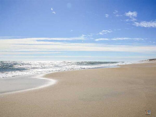 50 Great Things to Do in the Outer Banks: OBX NC Bucket List