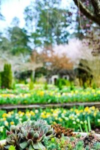 10 Outdoor Things to Do in Durham (Free + Fun Stuff to Do)