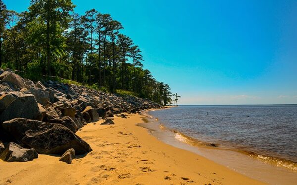 4 National Forests in NC (Things to Do + Why We Love Them!)