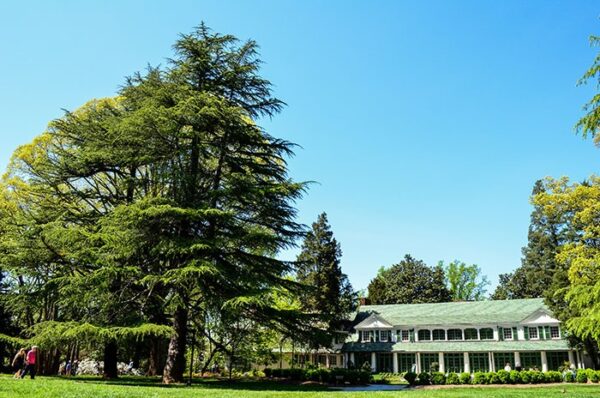 50 AWESOME Museums in North Carolina (for ALL Ages!)