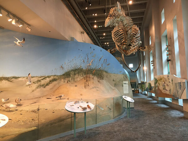 50 AWESOME Museums in North Carolina (for ALL Ages!)