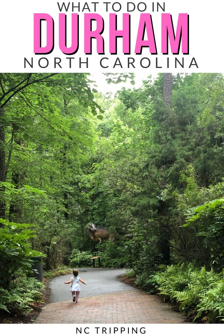 50+ Great Things to Do in Durham NC (The Durham Bucket List)