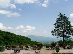 Switzerland Inn in Little Swtizerland NC (5 Things We Love)