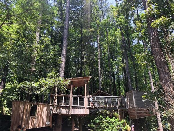 Museum of Life and Science in Durham NC | 18 Things We Love