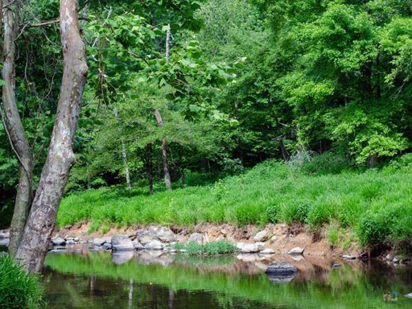 5 Great Things to Do in Eno River State Park (Trails + More)