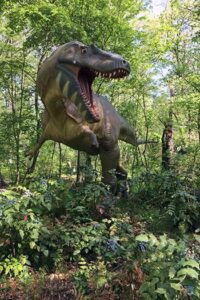 Museum of Life and Science in Durham NC (15+ Things We Love)