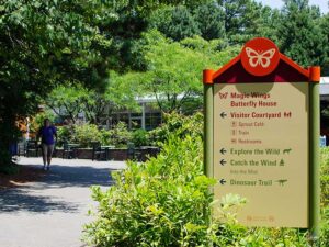 Museum of Life and Science in Durham NC | 18 Things We Love