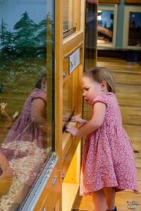 18 Awesome Things to Do in Kinston NC and Why We'll Be Back!