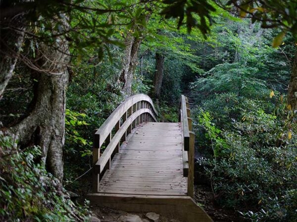 Rough Ridge Trail (One of the Best Blue Ridge Parkway Hikes)