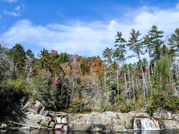 Rough Ridge Trail (One of the Best Blue Ridge Parkway Hikes)