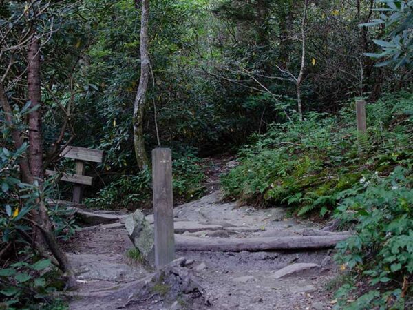 Rough Ridge Trail (One of the Best Blue Ridge Parkway Hikes)