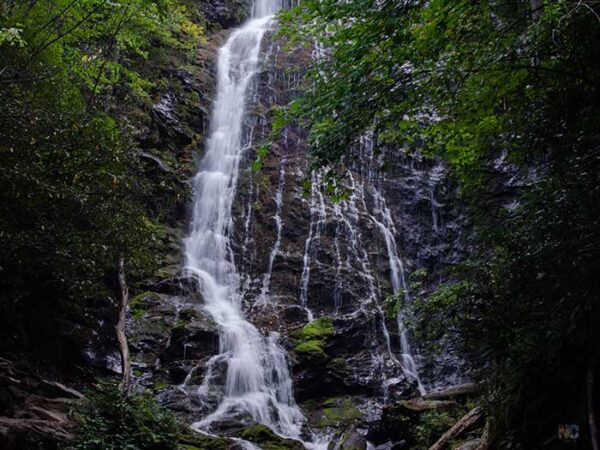 Mingo Falls in Cherokee NC (How to See This Great Waterfall)