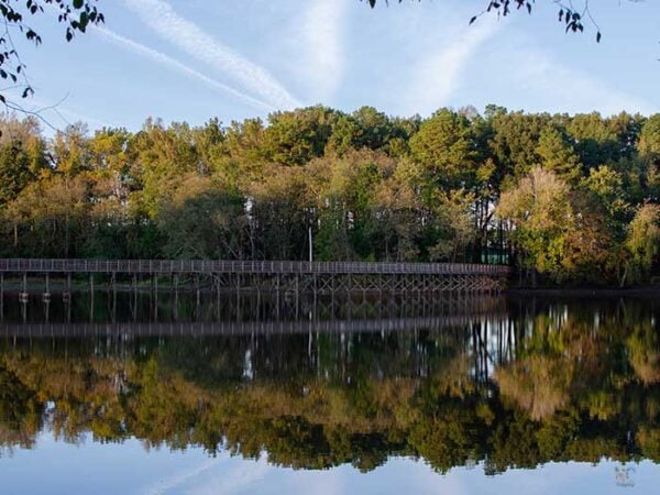 15 Exciting Things to Do in Wilson NC (Whirligigs + Food)