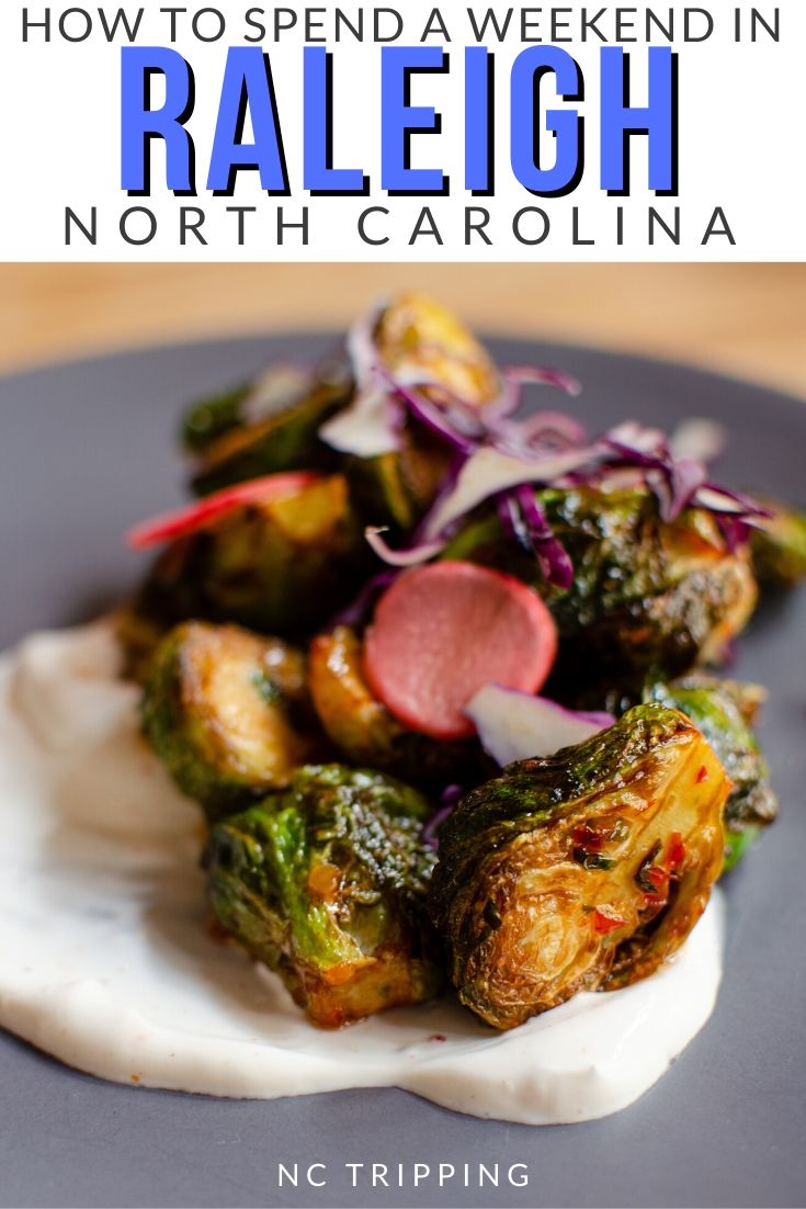 31 AMAZING Things to Do in Raleigh NC (Food + Museums)