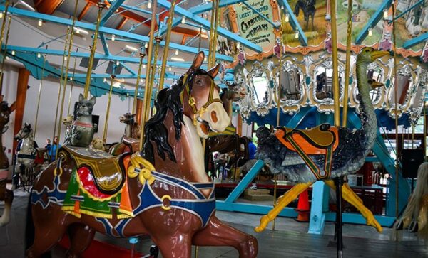 31 AMAZING Things to Do in Raleigh NC (Food + Museums)