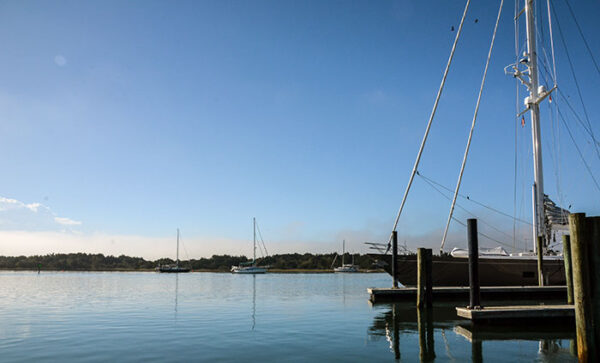 Rachel Carson Reserve Beaufort: Wild Horses + 4 Things To Do