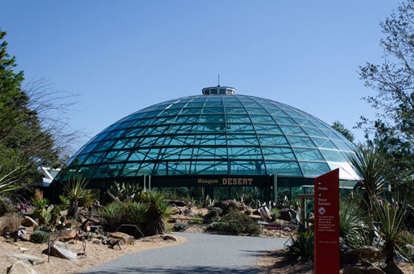 NC Zoo in Asheboro: Things to Do, Food, Fun Attractions, and More!