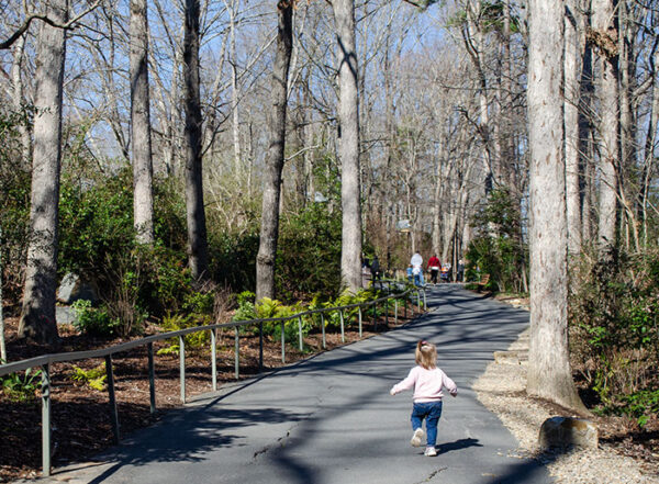 NC Zoo in Asheboro: Things to Do, Food, Fun Attractions, and More!