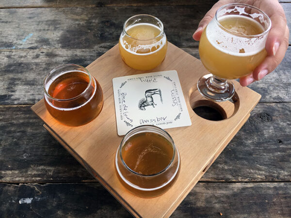 13 Amazing Craft Breweries in Durham NC (The Best Beer!)