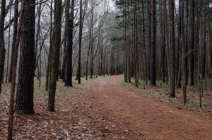 How to Visit the Historic Occoneechee Speedway Trail NC