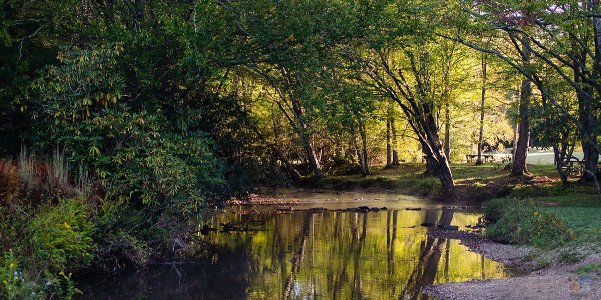 Outdoor Activities in North Carolina | Road Trips, Hiking Guides, and More