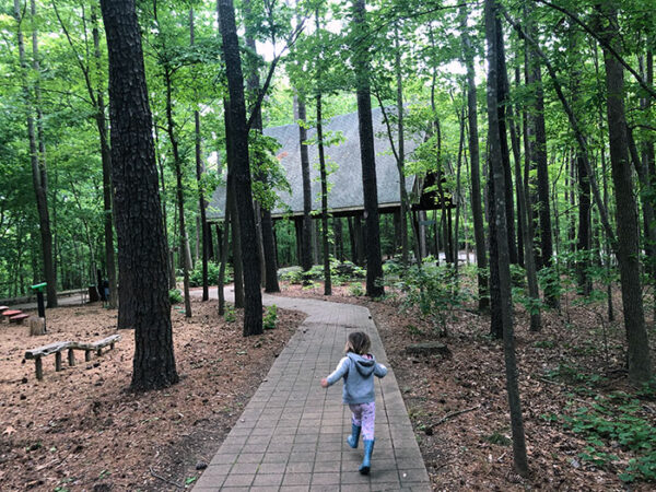 Hemlock Bluffs Nature Preserve in Cary (7 Things We Love!)