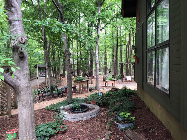 Hemlock Bluffs Nature Preserve in Cary (7 Things We Love!)