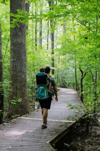Hemlock Bluffs Nature Preserve in Cary (7 Things We Love!)