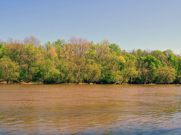 Raven Rock State Park (The Overlook, Great Hikes, and More!)
