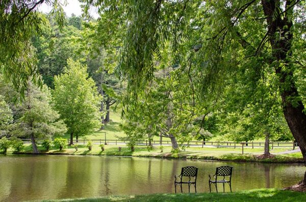 Chetola Resort at Blowing Rock (17 Things We Love About It!)