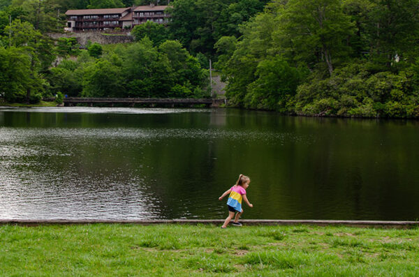 Chetola Resort at Blowing Rock (17 Things We Love About It!)