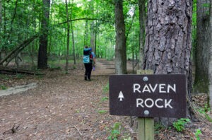 Raven Rock State Park (The Overlook, Great Hikes, and More!)