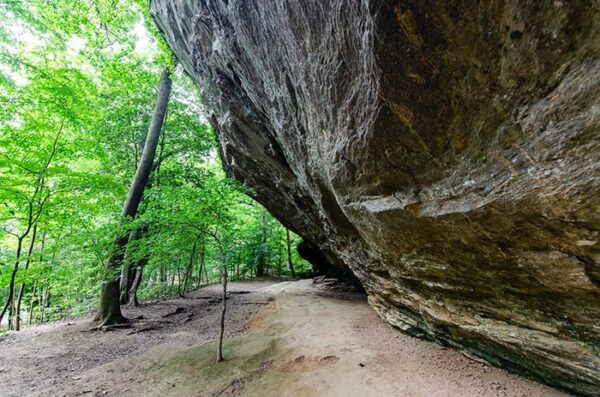 Raven Rock State Park (The Overlook, Great Hikes, and More!)