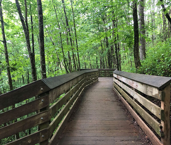 Soco Falls in Cherokee (How to See 2 Incredible Waterfalls)