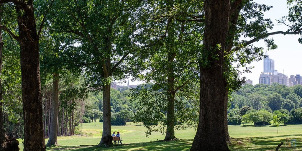 25 Fun Winter Things to Do in Raleigh NC