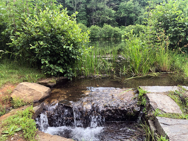 40+ Stunning Blue Ridge Parkway Stops in North Carolina