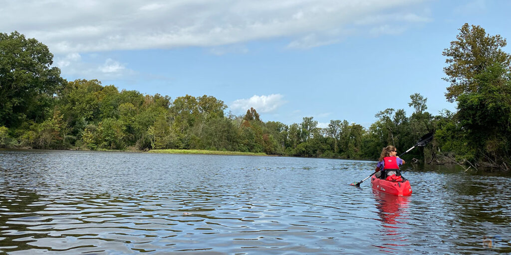 Spring in North Carolina (80+ Great Things to Do and Events)