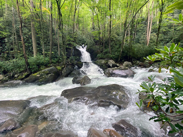 20+ Amazing Things to Do in Maggie Valley NC (and Nearby)