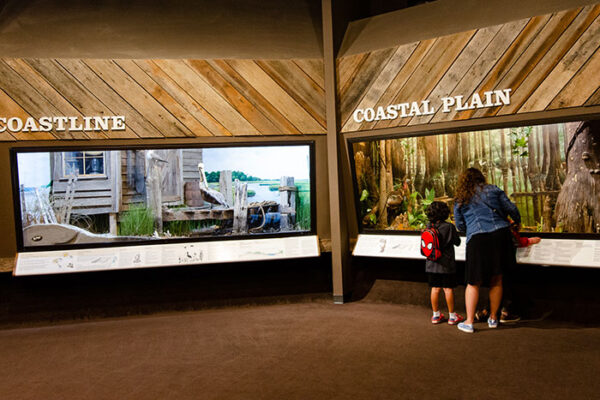 12 Exciting Things to Do in Gastonia and Gaston County NC