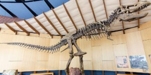 25+ Best Things to Do in Shelby and Cleveland County NC