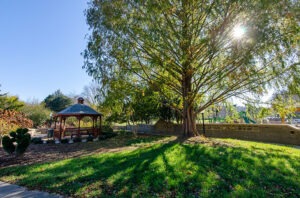 30+ Great Things to Do in Wilkesboro NC & Beyond