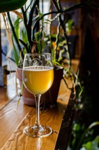 30+ Great Things to Do in Wilkesboro NC & Beyond