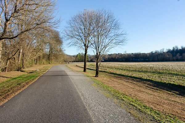 Wilkes County NC Attractions (30+ Great Places to Visit!)