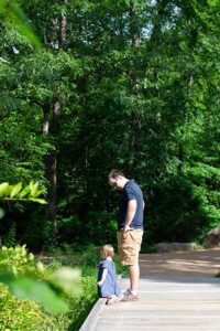 The 20 BEST Botanical Gardens in North Carolina