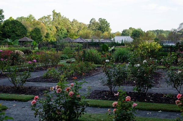 The 20 BEST Botanical Gardens in North Carolina