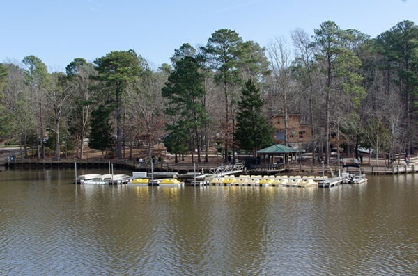 15 of the Best Things to Do in Cary NC (Food + Outdoors)