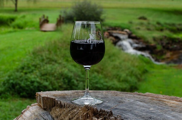 25 of the Best North Carolina Wineries and Vineyards
