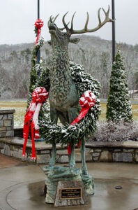 High Country NC (40 Wonderful Places to Visit)