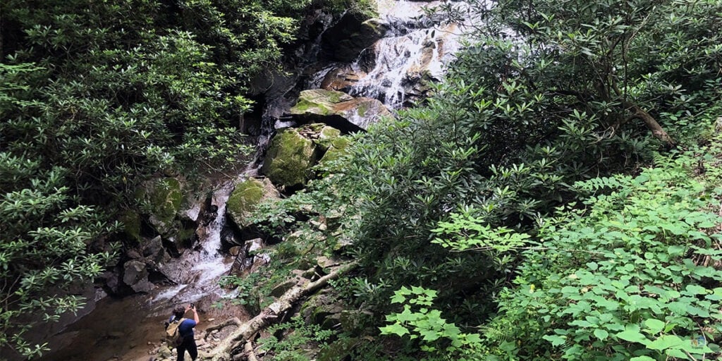 Rough Ridge Trail (One of the Best Blue Ridge Parkway Hikes)