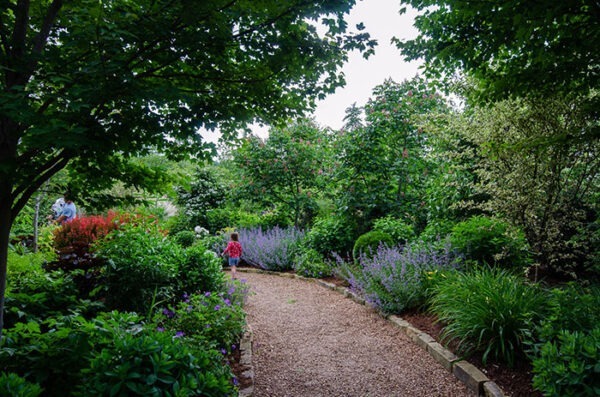 30+ of the Best North Carolina Mountain Towns to Visit Now!